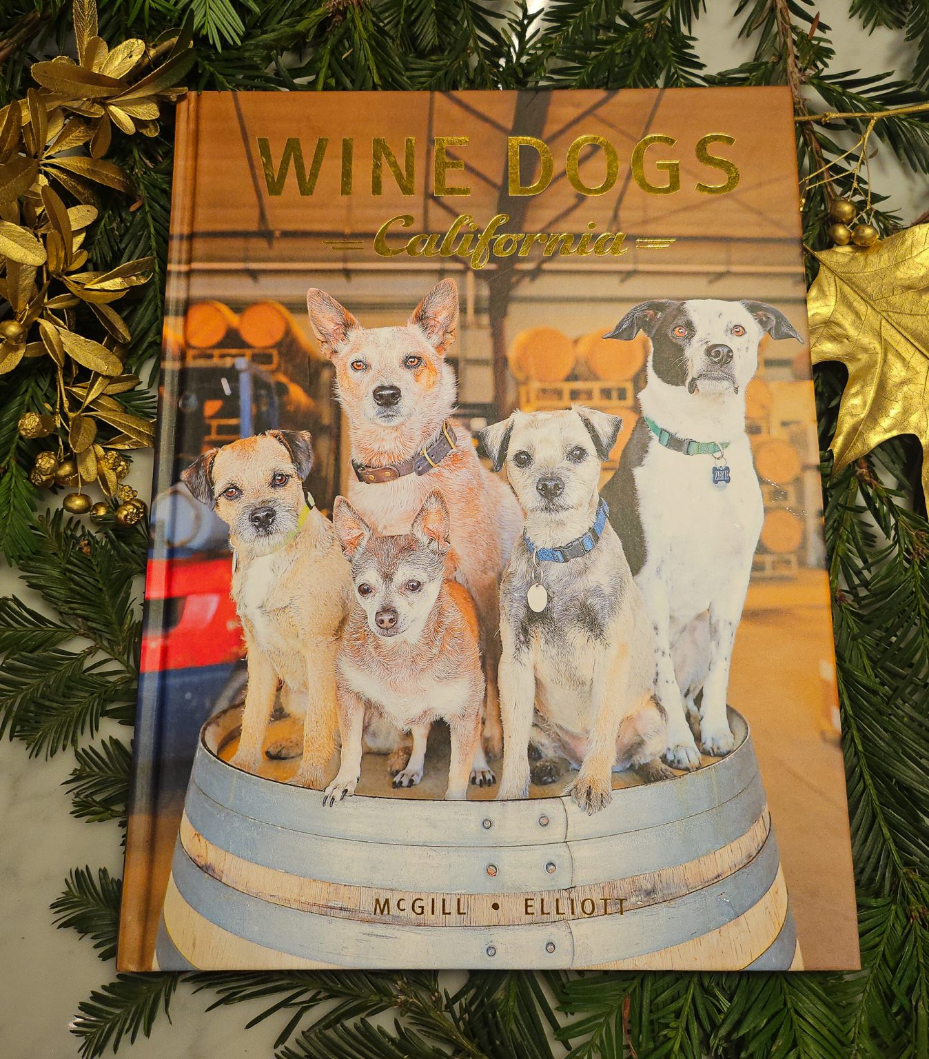 Napa Valley Estate-Grown Wines | O'Brien Estate